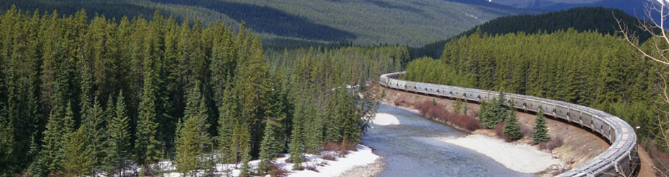 Home - Sumitomo Canada Limited